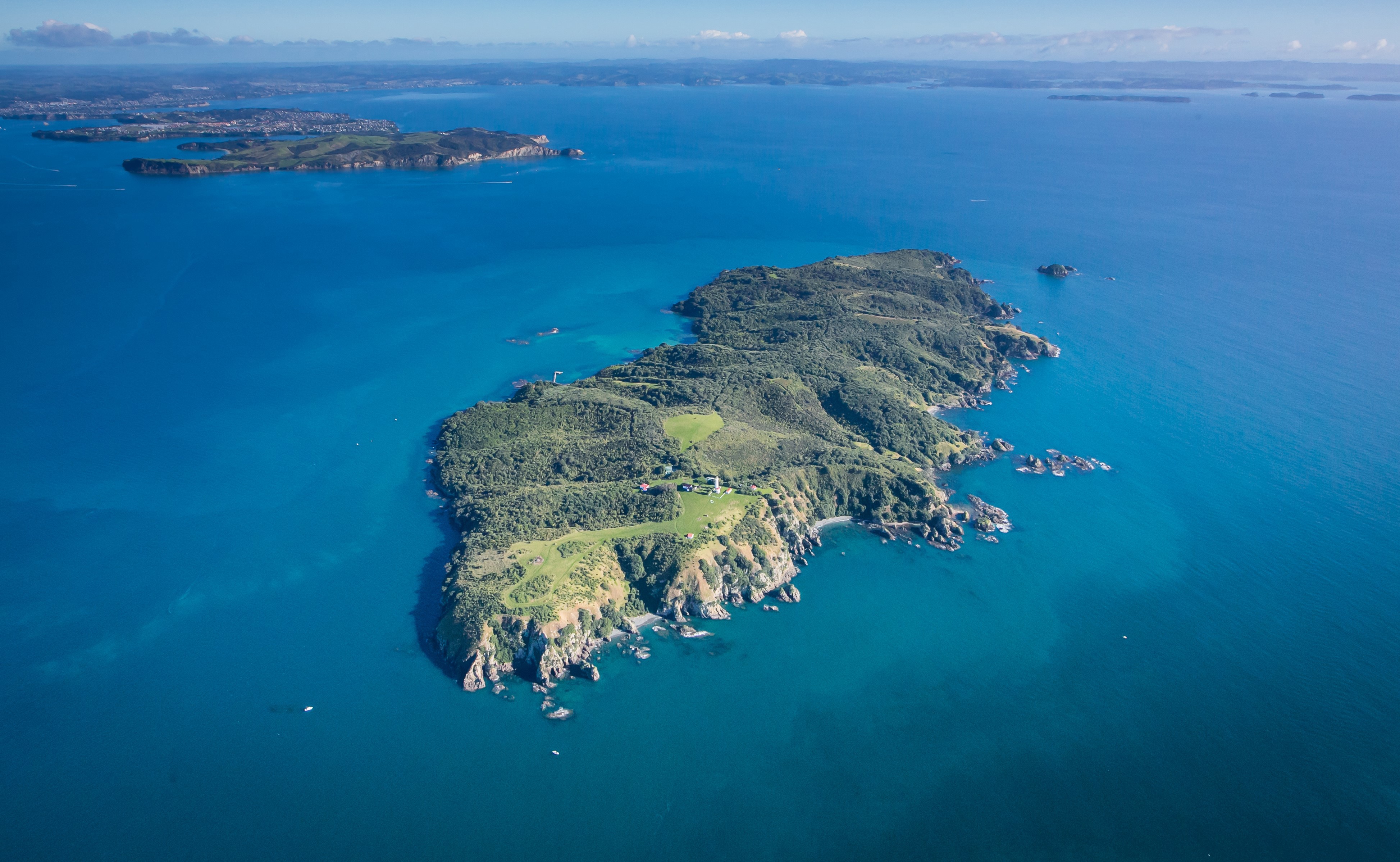 Tiritiri Matangi Island Ferry Service | Island Wildlife Sanctuary ...