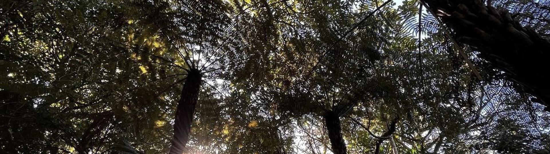 Explore Group | Tiritiri Matangi Island | Ferry Services | Island ...