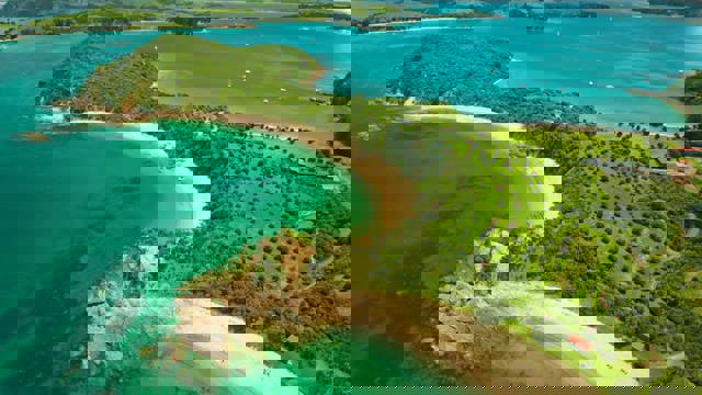 Rotoroa Island Ferry Service | Island Wildlife Sanctuary | Hauraki Gulf ...