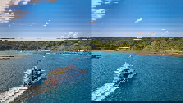 Tiritiri Matangi Island Ferry Service | Island Wildlife Sanctuary ...